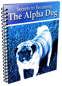 Secrets to Dog Training | Dog Obedience Training to Solve Dog Behavior ...